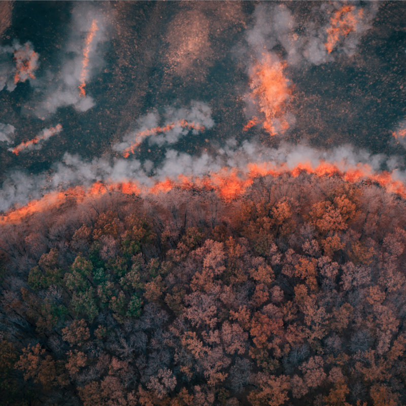 CAURUS Technologies - Waldbrandbekämpfung